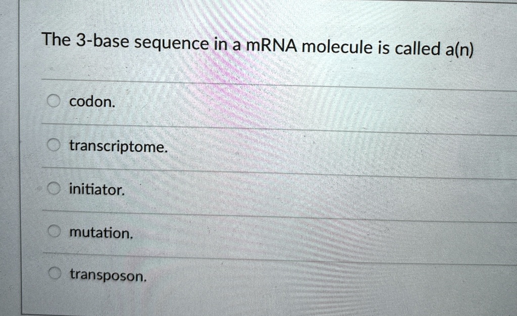 The 3-base sequence in a mRNA molecule is called a(n) codon ...