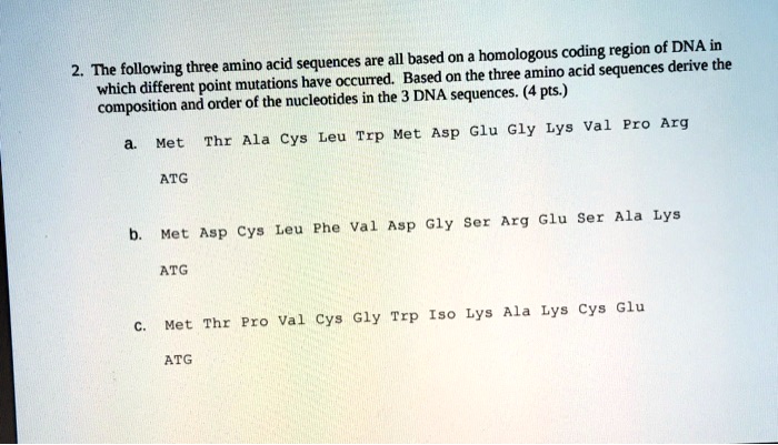 homologous coding region of dna in the following three amino acid ...