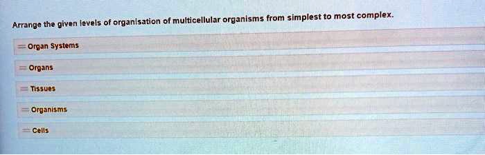 SOLVED: isation of multicellular organisms from simplest to most ...