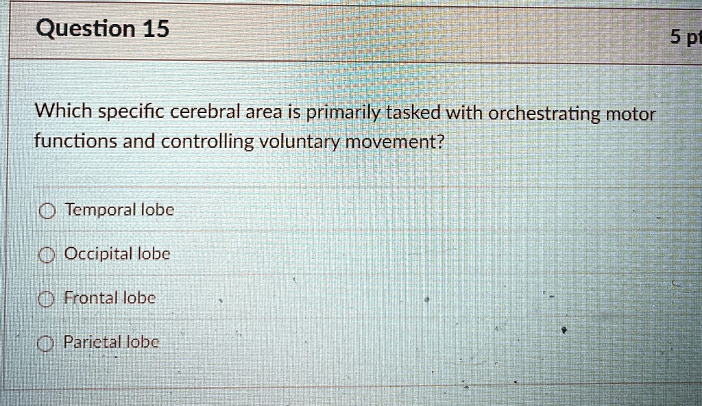 question 15 which specific cerebral area is primarily tasked with orchestrating motor functions ...