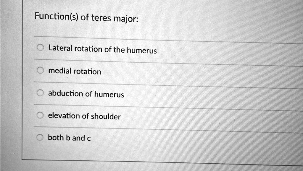 Function(s) of teres major: Lateral rotation of the humerus medial ...