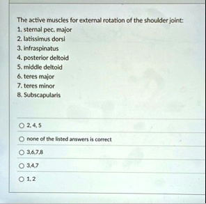 the active muscles for external rotation of the shoulder joint 1 ...