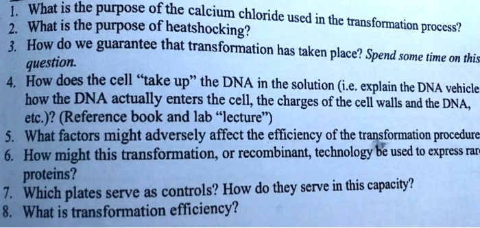 1. What is the purpose of the calcium chloride used in the ...