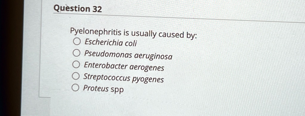 question 32 pyelonephritis is usually caused by escherichia coli pseudomonas aeruginosa ...