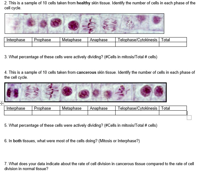 2 this is sample of 10 cells taken from healthy skin tissue identify ...