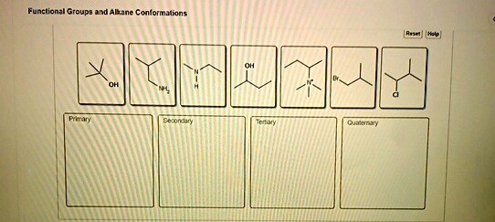 Functional Groups and Alkane Conformations Primary Secondary Tertiary ...