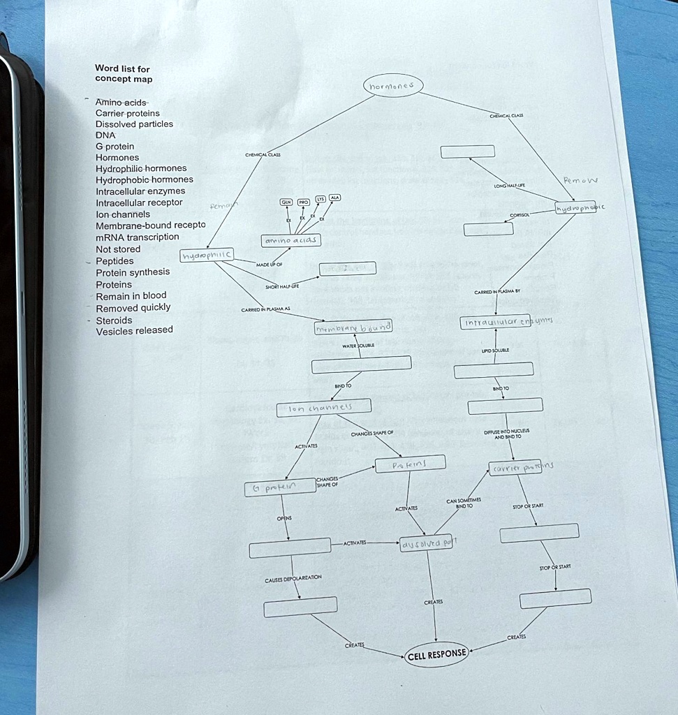 SOLVED: Word list for concept map Amino acids, Carrier proteins ...