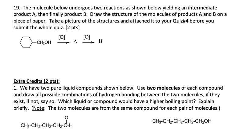 SOLVED: 19. The molecule below undergoes two reactions as shown below ...