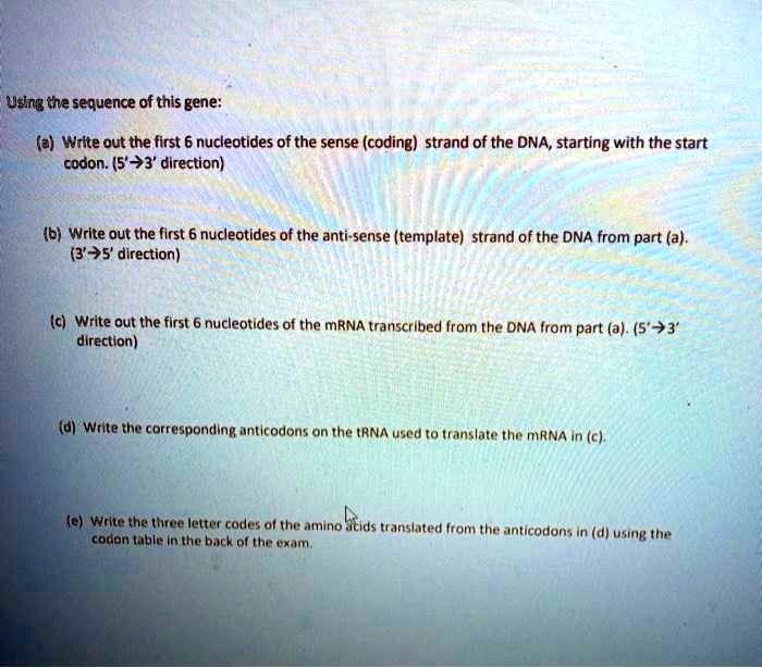 SOLVED: Using the sequence of this gene: (e) Write out the first 6 ...