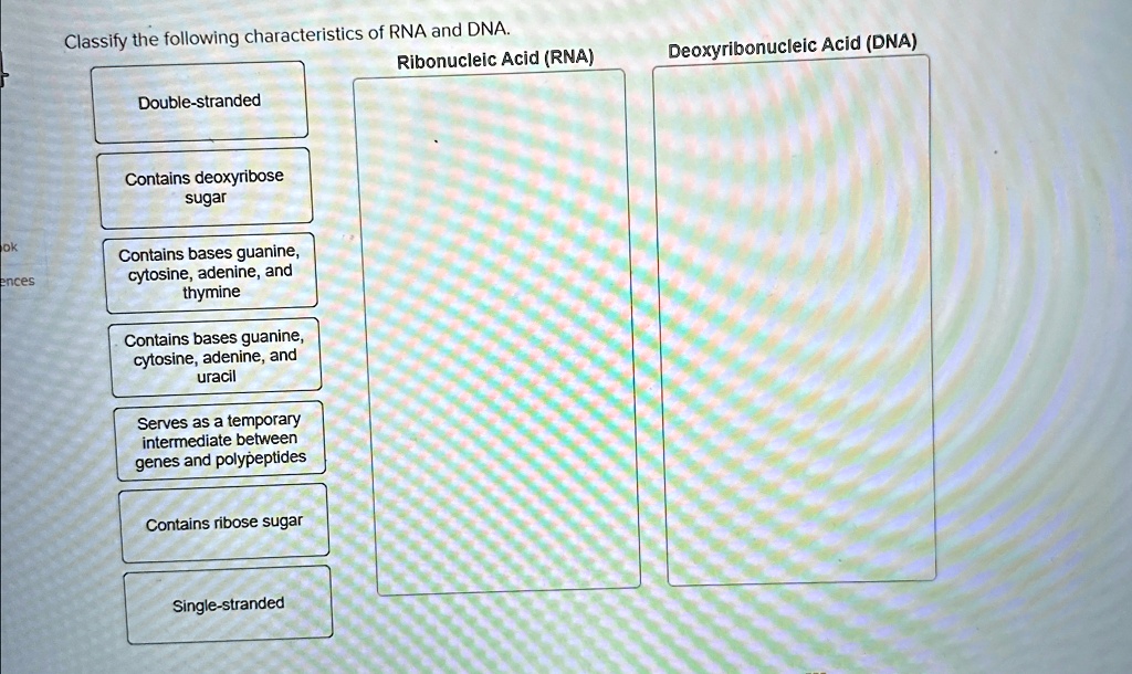 classify the following characteristics of rna and dna double stranded ...