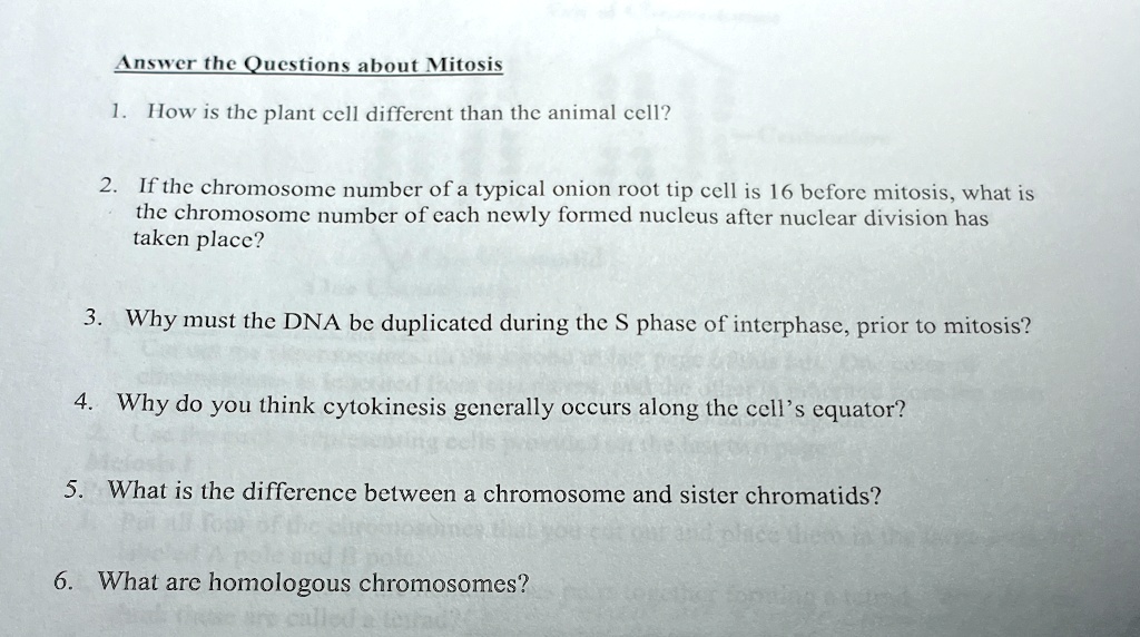 answer the questions about mitosis 1 how is the plant cell different ...