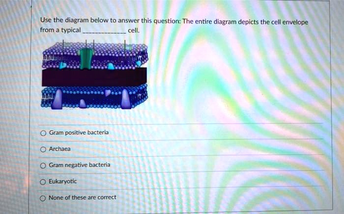 Use the diagram below to answer this question: The entire diagram ...