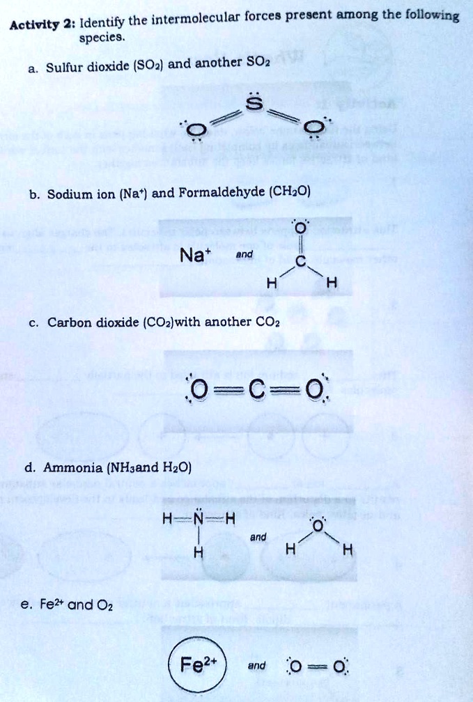 Activity 2: Identify the intermolecular forces present among the following species. a. Sulfur ...