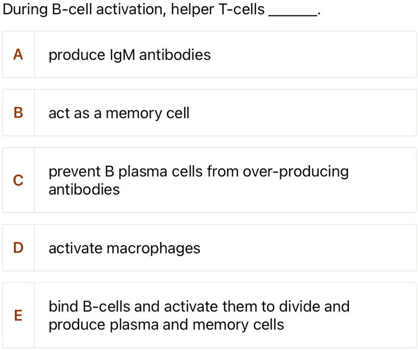 during b cell activation helper t cells a produce igm antibodies b act ...