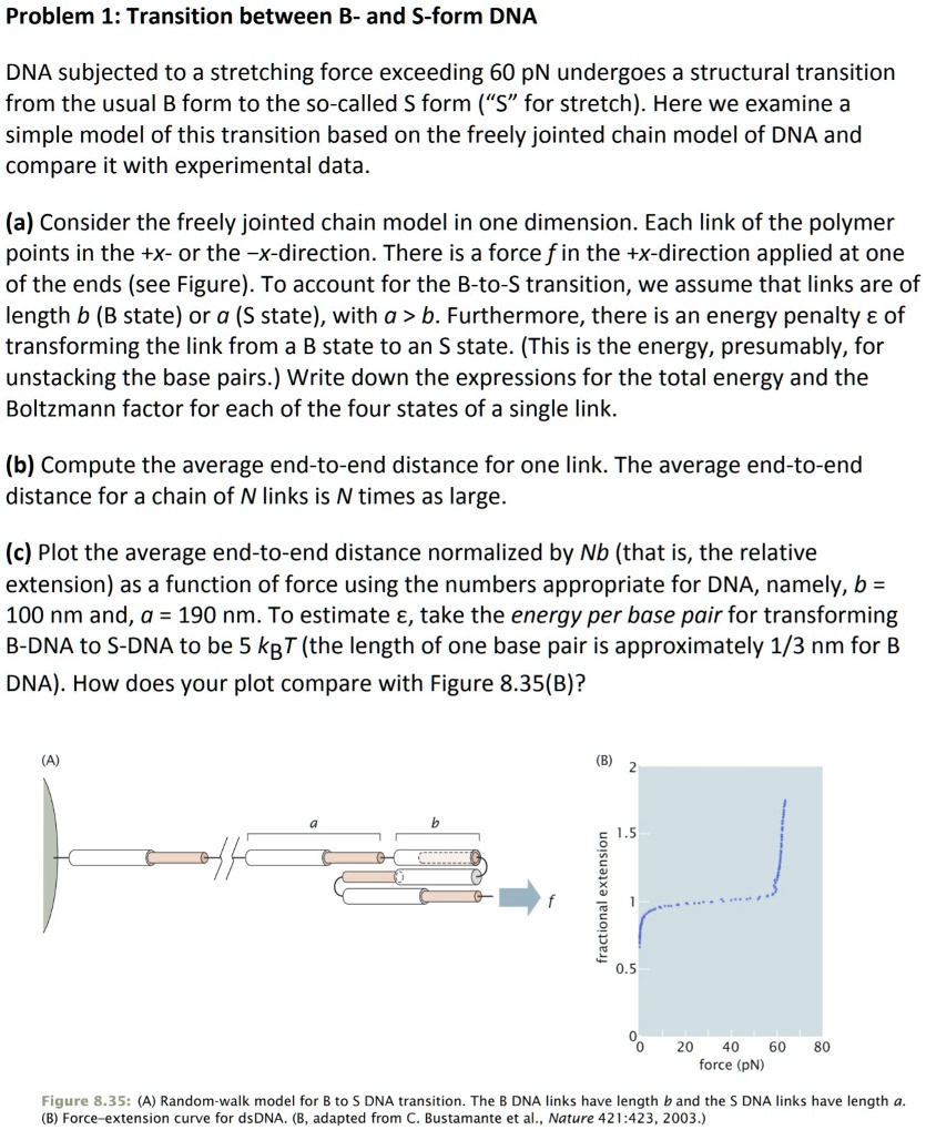 SOLVED: Problem 1: Transition between B- and S-form DNA DNA subjected ...
