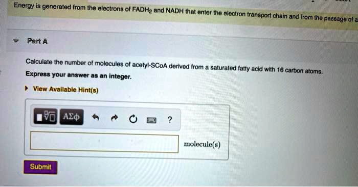 Energy is generated from the electrons of FADH2 and NADH that enter the electron transport chain ...