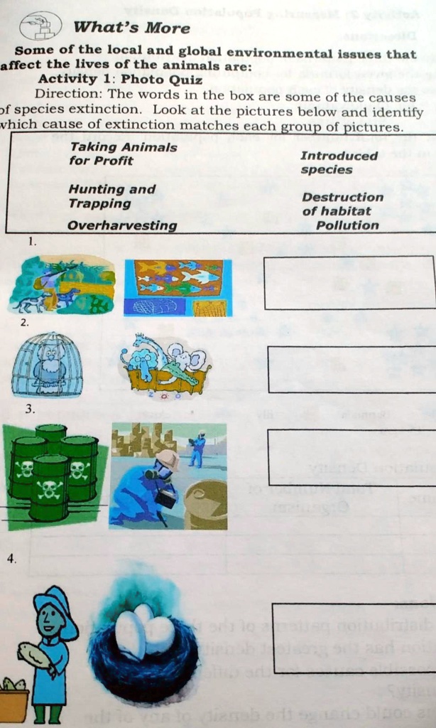 What's More Some of the local and global environmental issues that ...