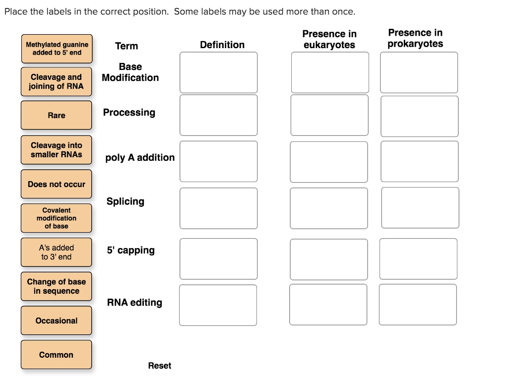 SOLVED: Place the labels in the correct position: Some labels may be used more than once ...