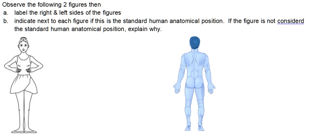 SOLVED: Texts: Observe the following 2 figures, then: a. Label the ...