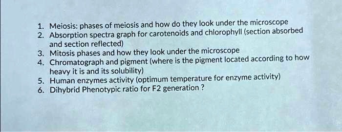 1. Meiosis: phases of meiosis and how do they look under the microscope ...