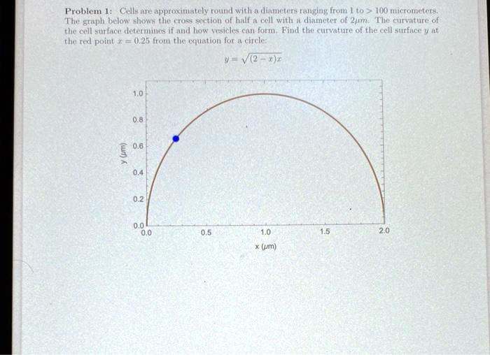 Problem 1: Cells are approximately round with a diameters ranging from ...