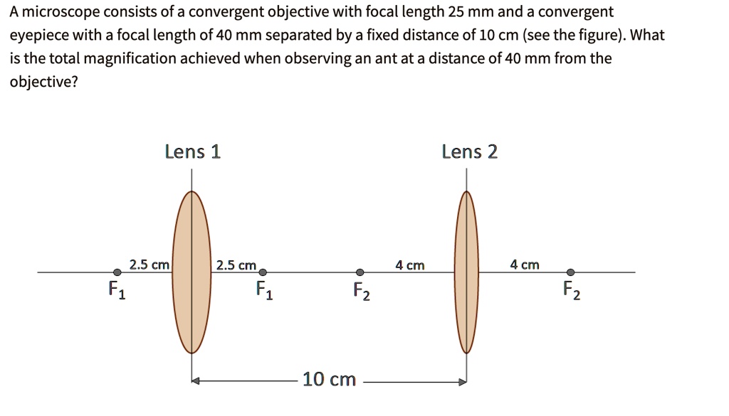 SOLVED: Amicroscope consists of a convergent objective with focal ...