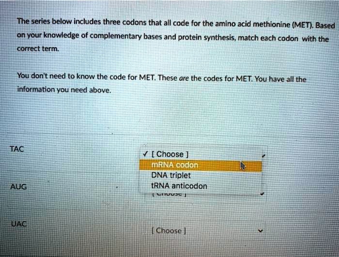 SOLVED: The series below includes three codons that all code for the ...