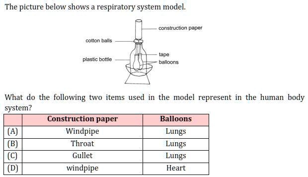 SOLVED: Tolong jawab cepat plssss The picture below shows respiratory ...