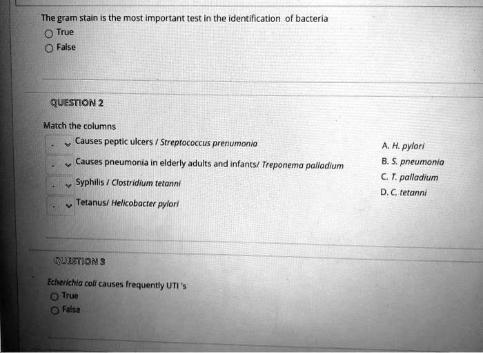 the gram stain is the most important test in the identification of ...
