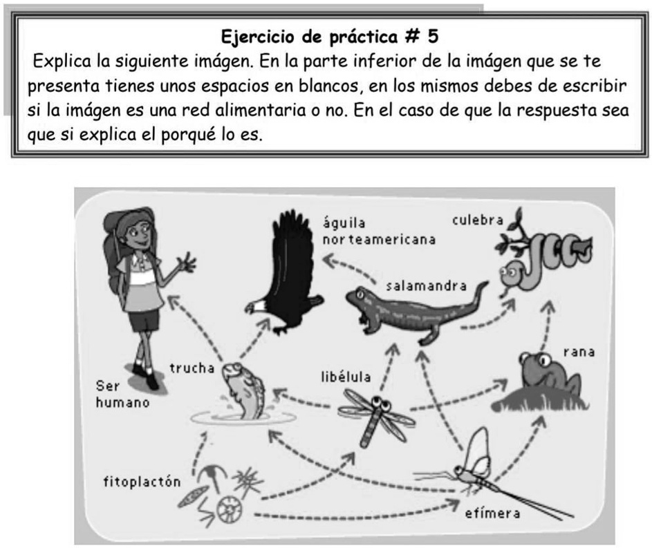 cuantas cadenas alimenticias hay y cuales son ejercicio de practica 5 ...