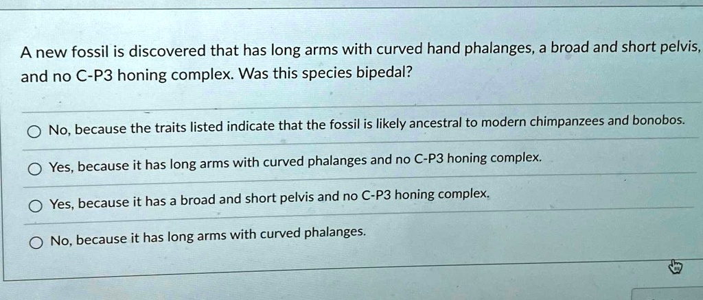 A new fossil is discovered that has long arms with curved hand ...
