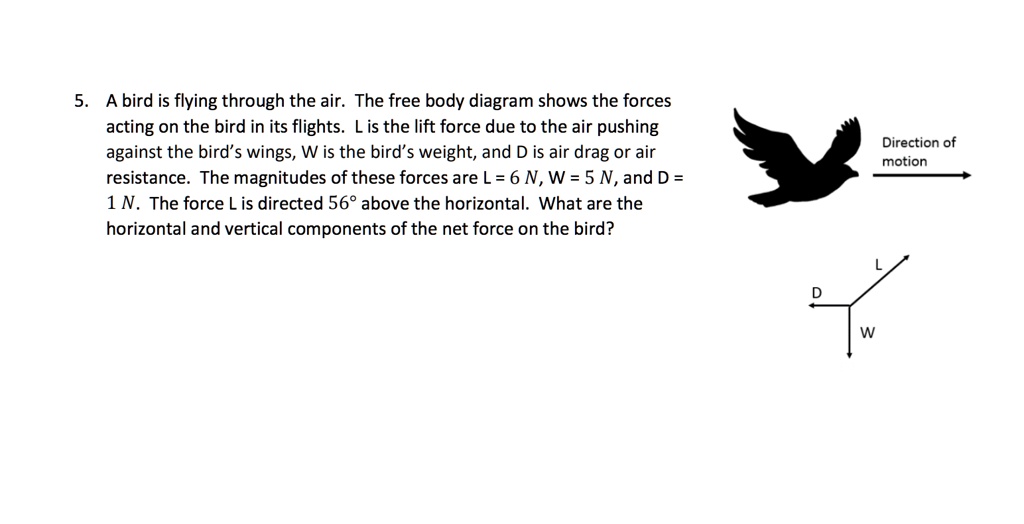 SOLVED: A bird is flying through the air: The free body diagram shows ...