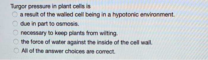 turgor pressure in plant cells is a result of the walled cell being in ...