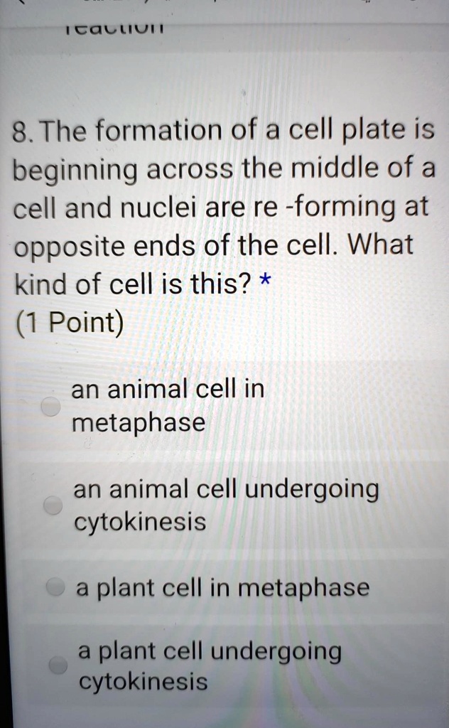 SOLVED: The formation of a cell plate is beginning across the middle of ...