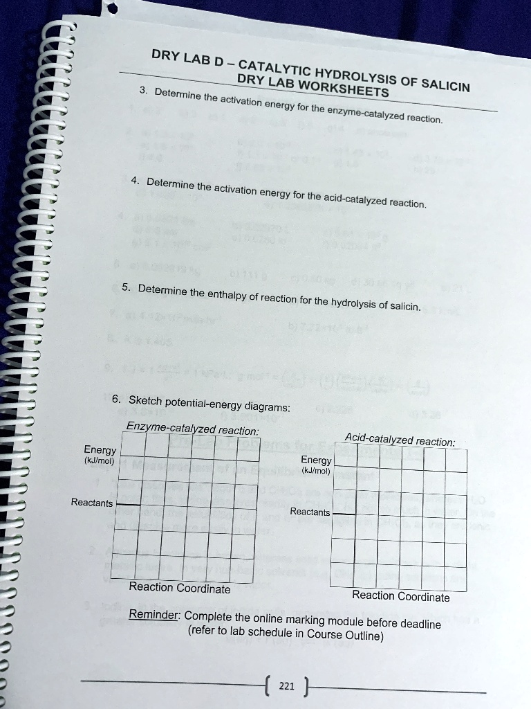 dry lab d catalytic dry lab hydrolysis of worksheets salicin determine ...