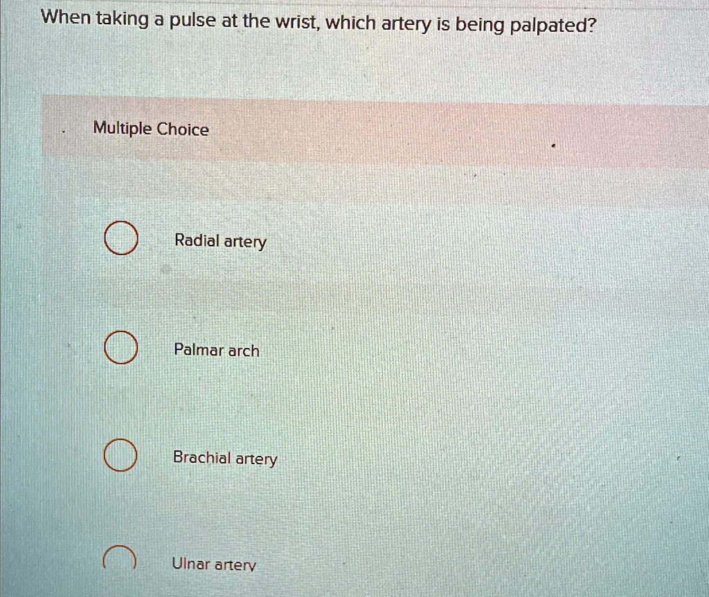 When taking a pulse at the wrist, which artery is being palpated ...