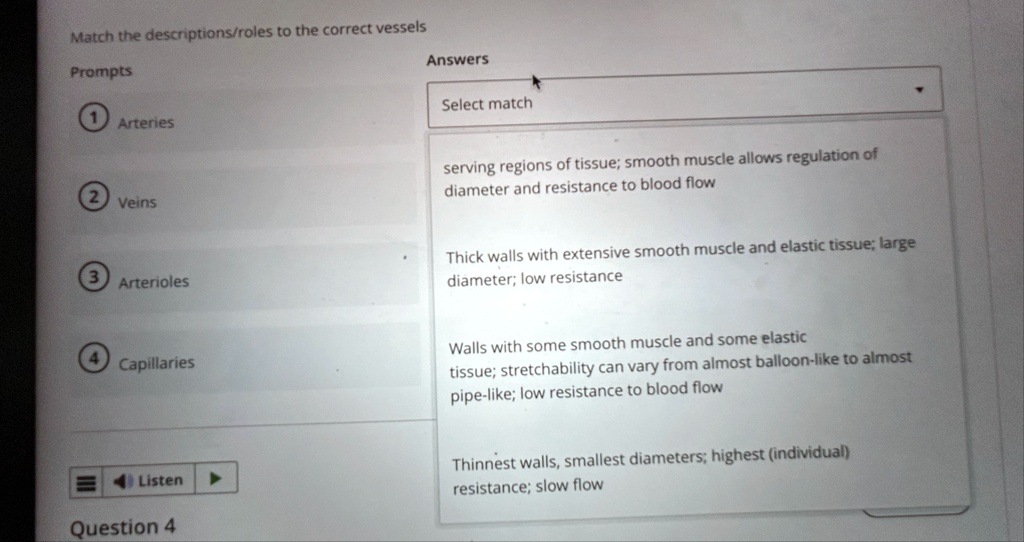 match the descriptionsroles to the correct vessels prompts 1 arteries 2 veins answers select ...