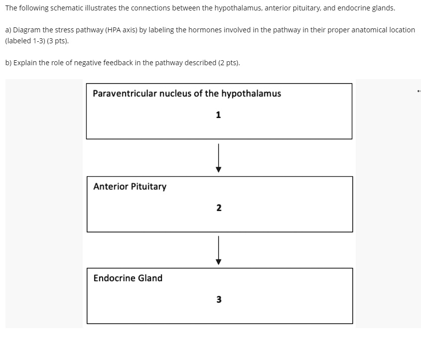 The following schematic illustrates the connections between the ...