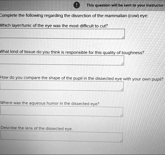 Complete the following regarding the dissection of the mammalian (cow) eye: Which layer/tunic of ...