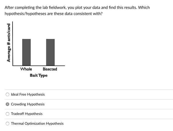 SOLVED: After completing the lab fieldwork; you plot your data and find ...