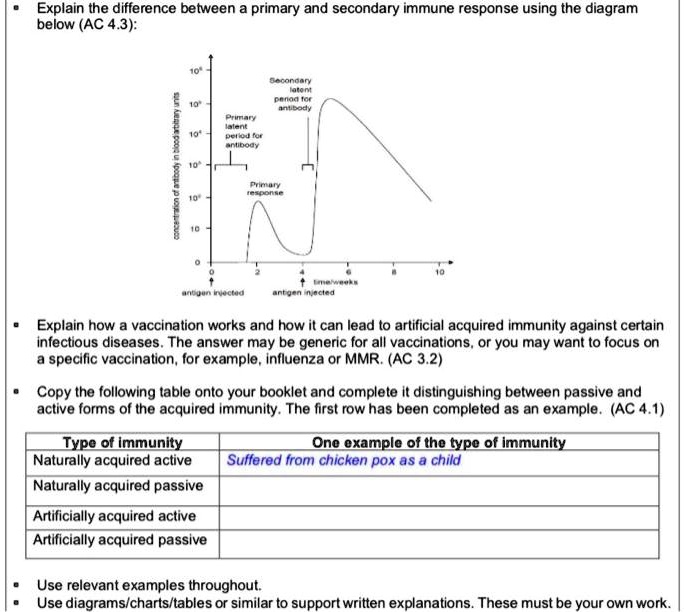 explain the difference between a primary and secondary immune response ...