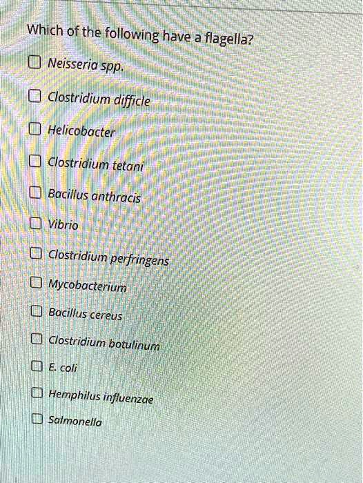 which of the following have 3 flagella neisseria spp clostridium ...