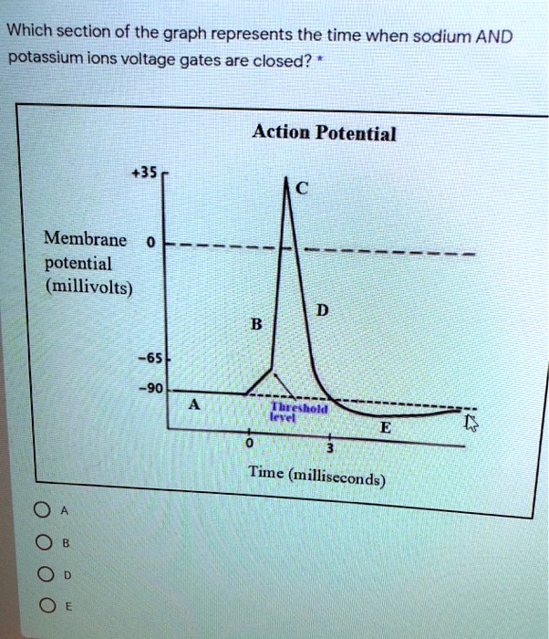 SOLVED: Which section of the graph represents the time when sodium AND ...