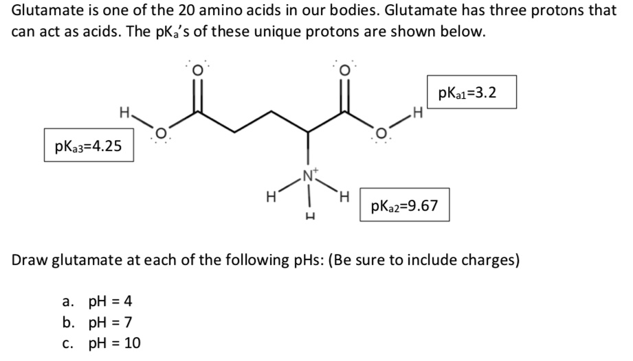 SOLVED: Glutamate is one of the 20 amino acids in our bodies. Glutamate ...