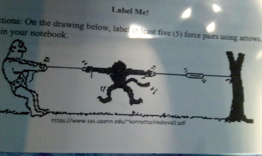 SOLVED: 'Directions: On the drawing below,label at least five (5) force ... SOLVED: 'Directions: On the drawing below,label at least five (5) force ...