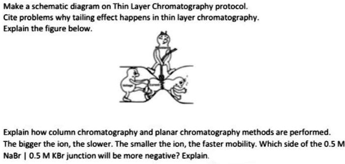 SOLVED: Make a schematic diagram on Thin Layer Chromatography protocol ...
