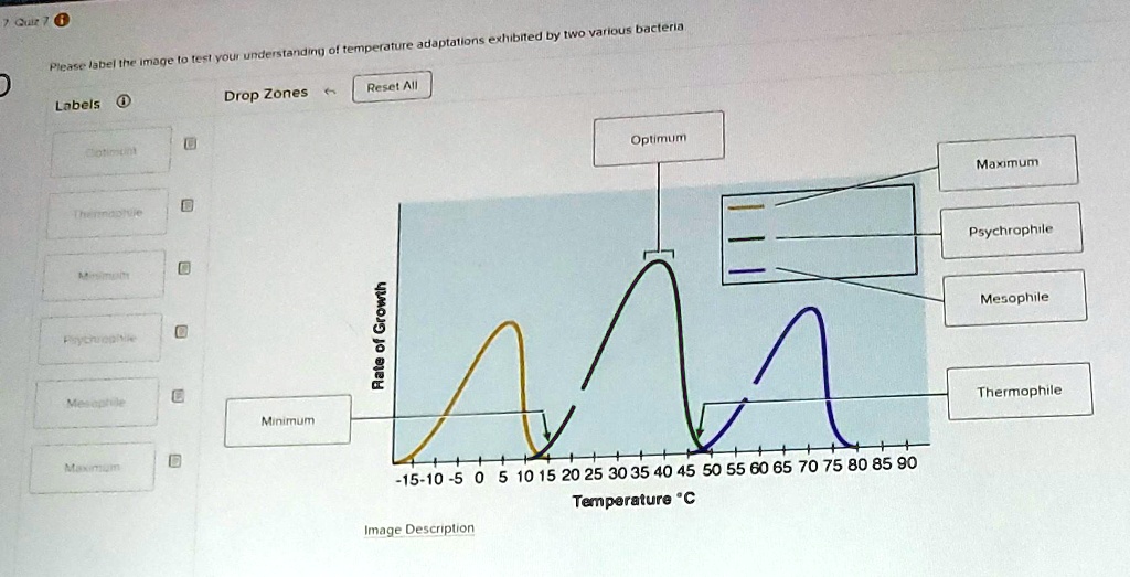 SOLVED: 7. Please label the image to test your understanding of ...