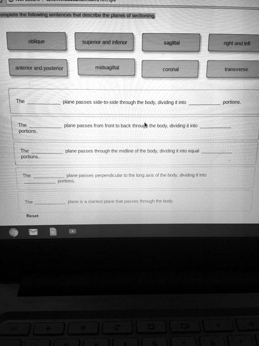 omplete the following sentences that describe the planes of sectioning ...