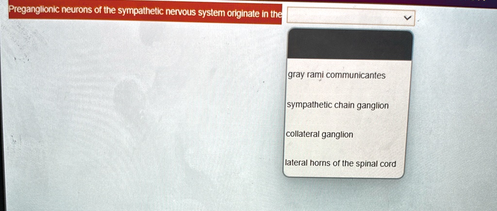 Preganglionic neurons of the sympathetic nervous system originate in ...