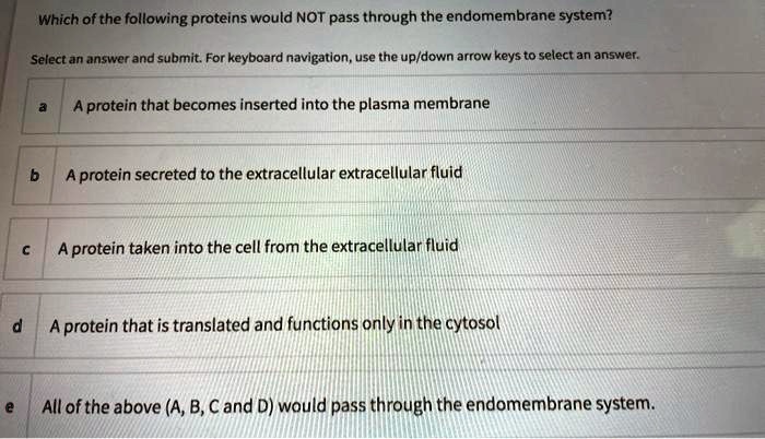 SOLVED: Which ofthe following proteins would NOT pass through the endomembrane system? Selectan ...